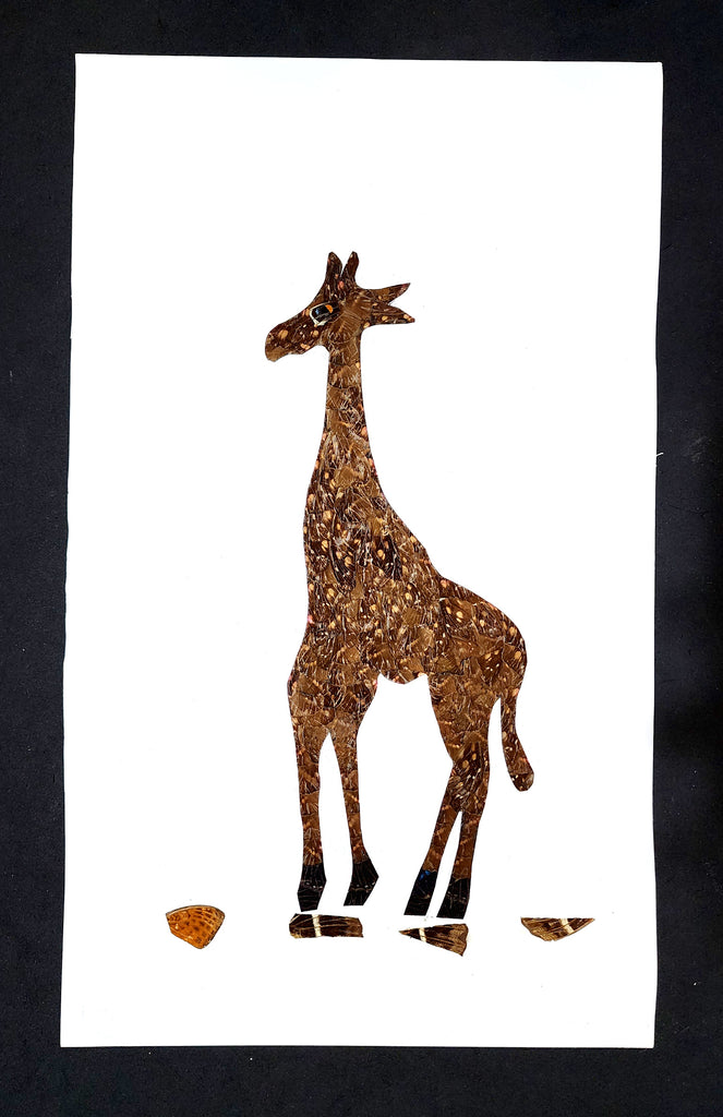 Giraffe - Unframed - Butterfly Wing Art - G10 – Butterfly Utopia