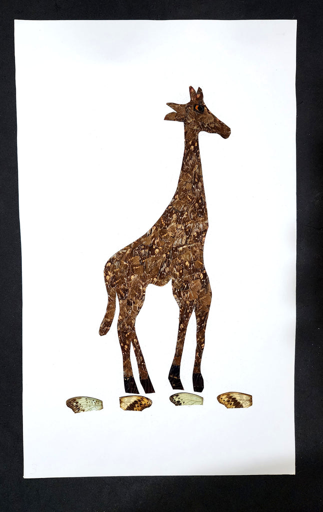 Giraffe - Unframed - Butterfly Wing Art - G03 – Butterfly Utopia
