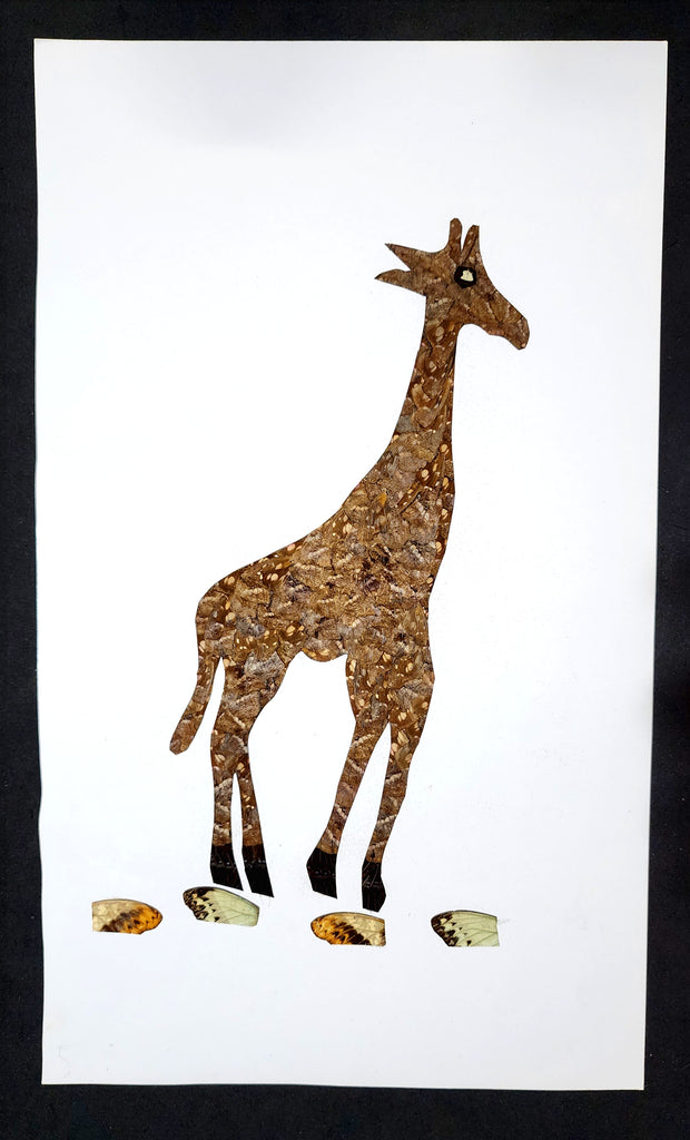 Giraffe - Unframed - Butterfly Wing Art - G05 – Butterfly Utopia