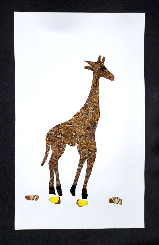 Giraffe - Unframed - Butterfly Wing Art - G07 – Butterfly Utopia