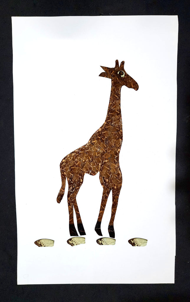 Giraffe - Unframed - Butterfly Wing Art - G09 – Butterfly Utopia